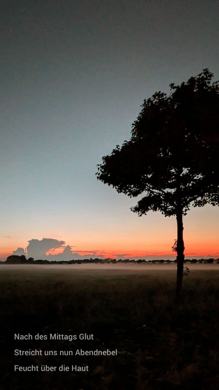 Haiku des Tages vom 22. Juni 2026 – meinRegionalkompass.com